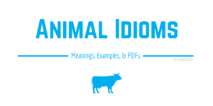Animal Idioms List with Meanings, Examples, & PDFs - ESL Expat