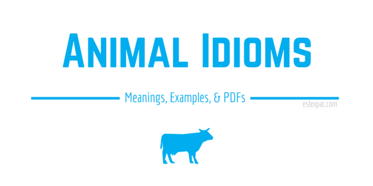 Animal Idioms List with Meanings, Examples, & PDFs - ESL Expat