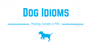 Dog Idioms List with Meanings, Examples, & PDFs - ESL Expat