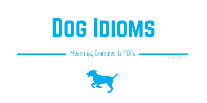 Dog Idioms List with Meanings, Examples, & PDFs - ESL Expat